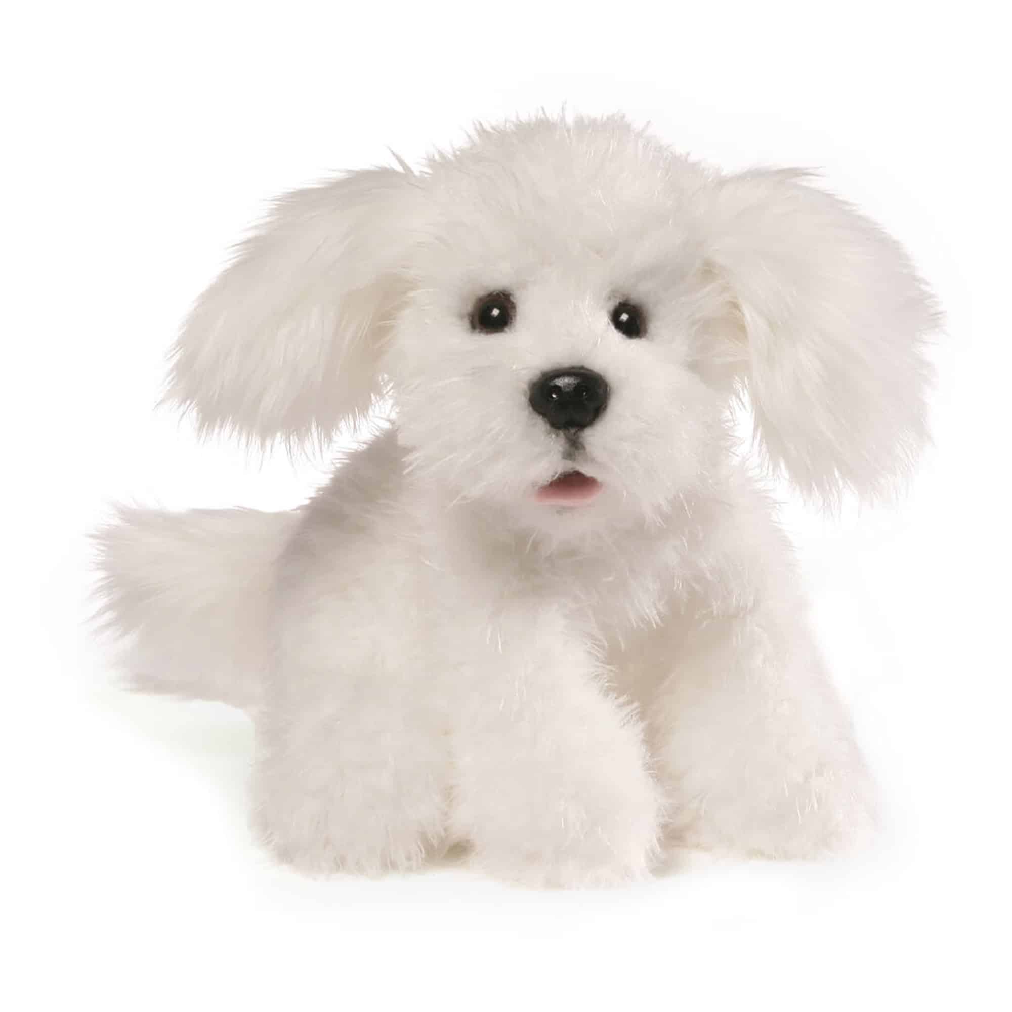 Gund - Georgette The Dog White 25cm - Online Toys Australia