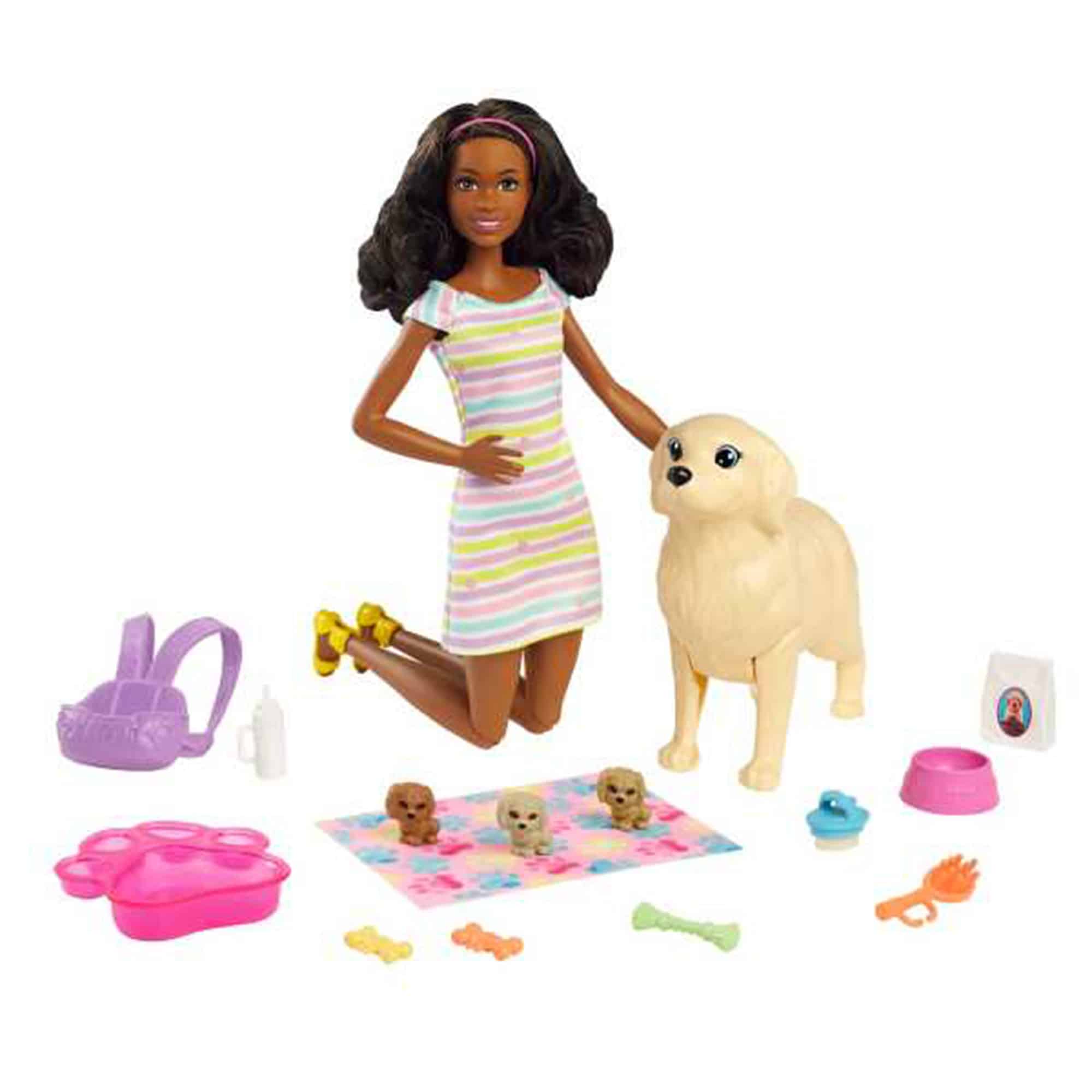 Barbie - Barbie Doll And Pets - Online Toys Australia
