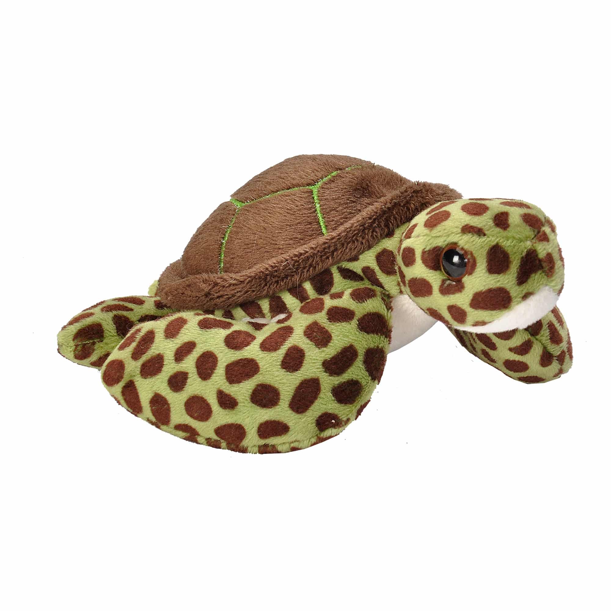 Wild Republic - Pocketkins Green Sea Turtle - Online Toys Australia